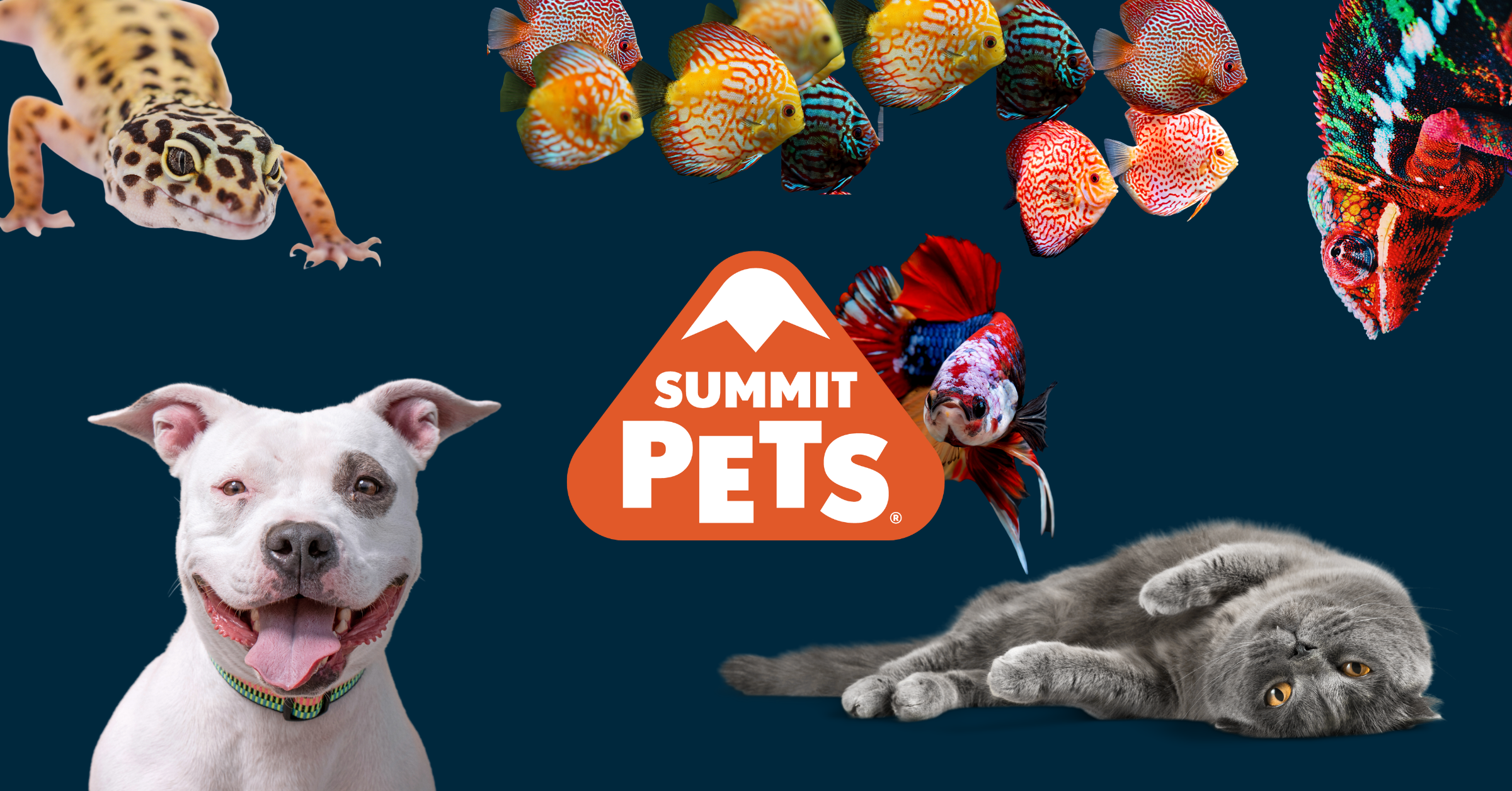 Fish Food Saltwater – Summit Pets