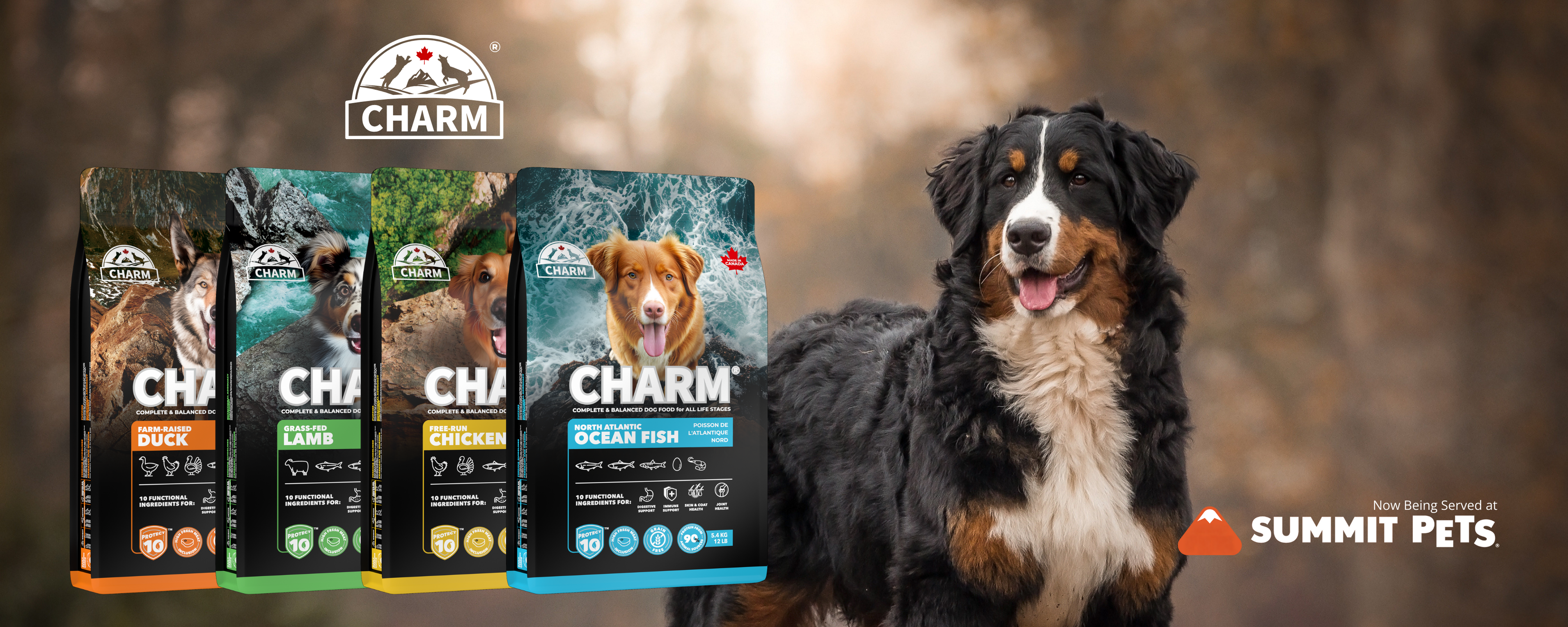 Summit Pets | Home