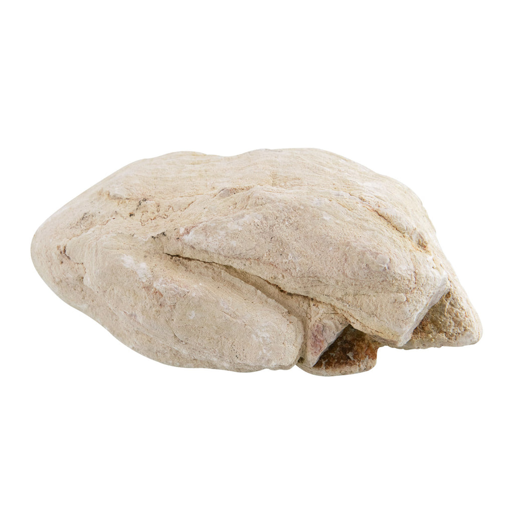 Feller Stone Elephant Skin Rock